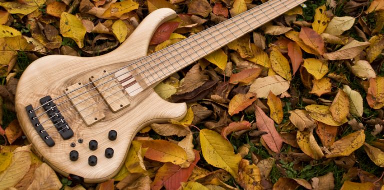 BassLine - handcrafted custom bass - made in germany.